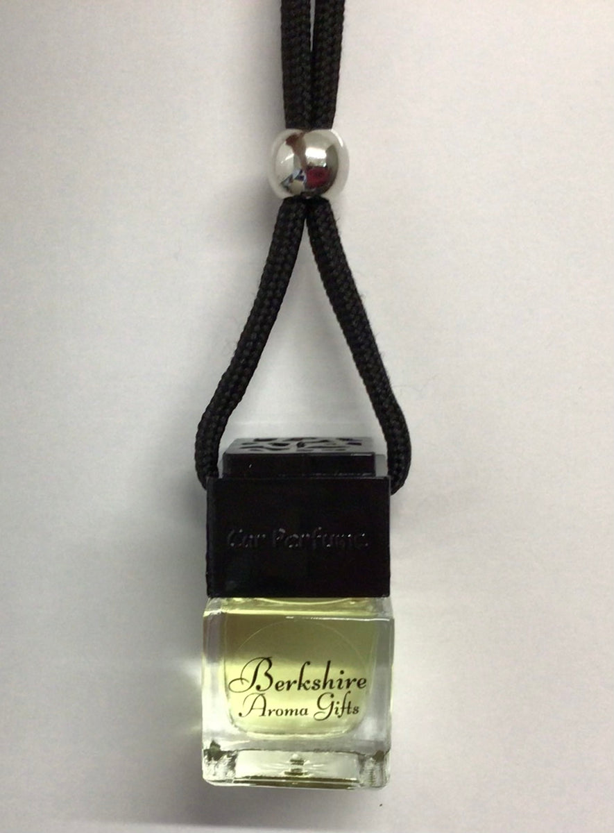 Berkshire Aroma Gifts | The Alien ~ Luxury Car Diffuser